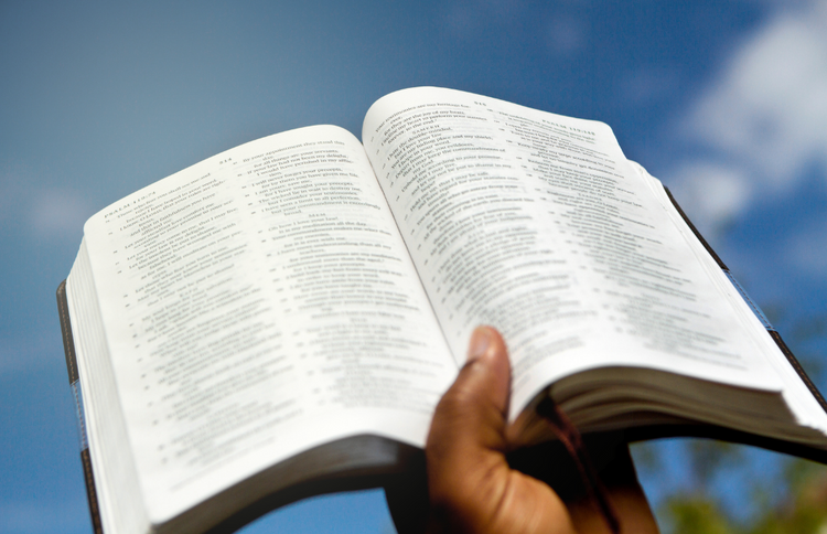 What Does "Ravening" Mean in the Bible? – Coffee and Christ Shop